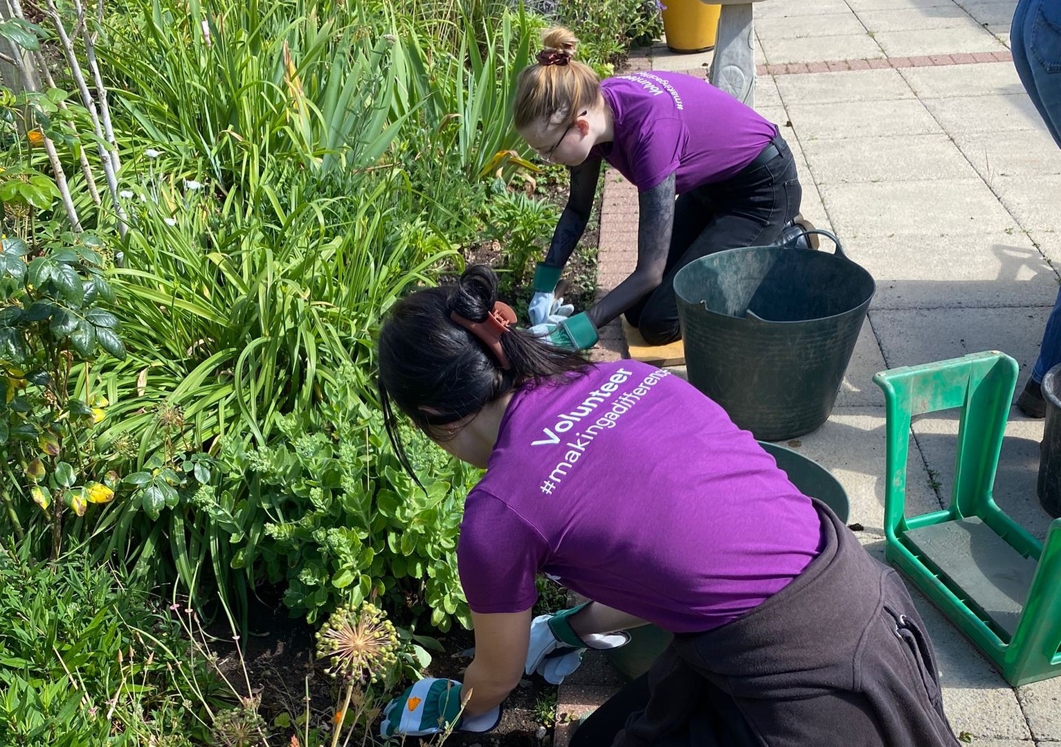 Volunteering Phoenix Group